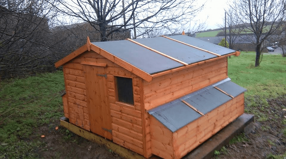 Large Chicken Coup | Sheds Ahead